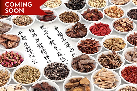 Healthy Wellness Package - The Orchard Resort and Spa