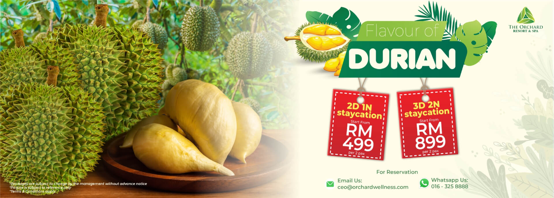 Durian Flavour Package - The Orchard Resort and Spa