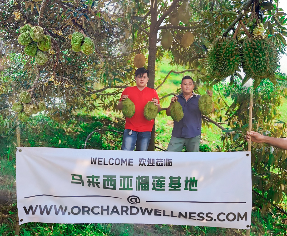 Durian Flavour Package - The Orchard Resort and Spa