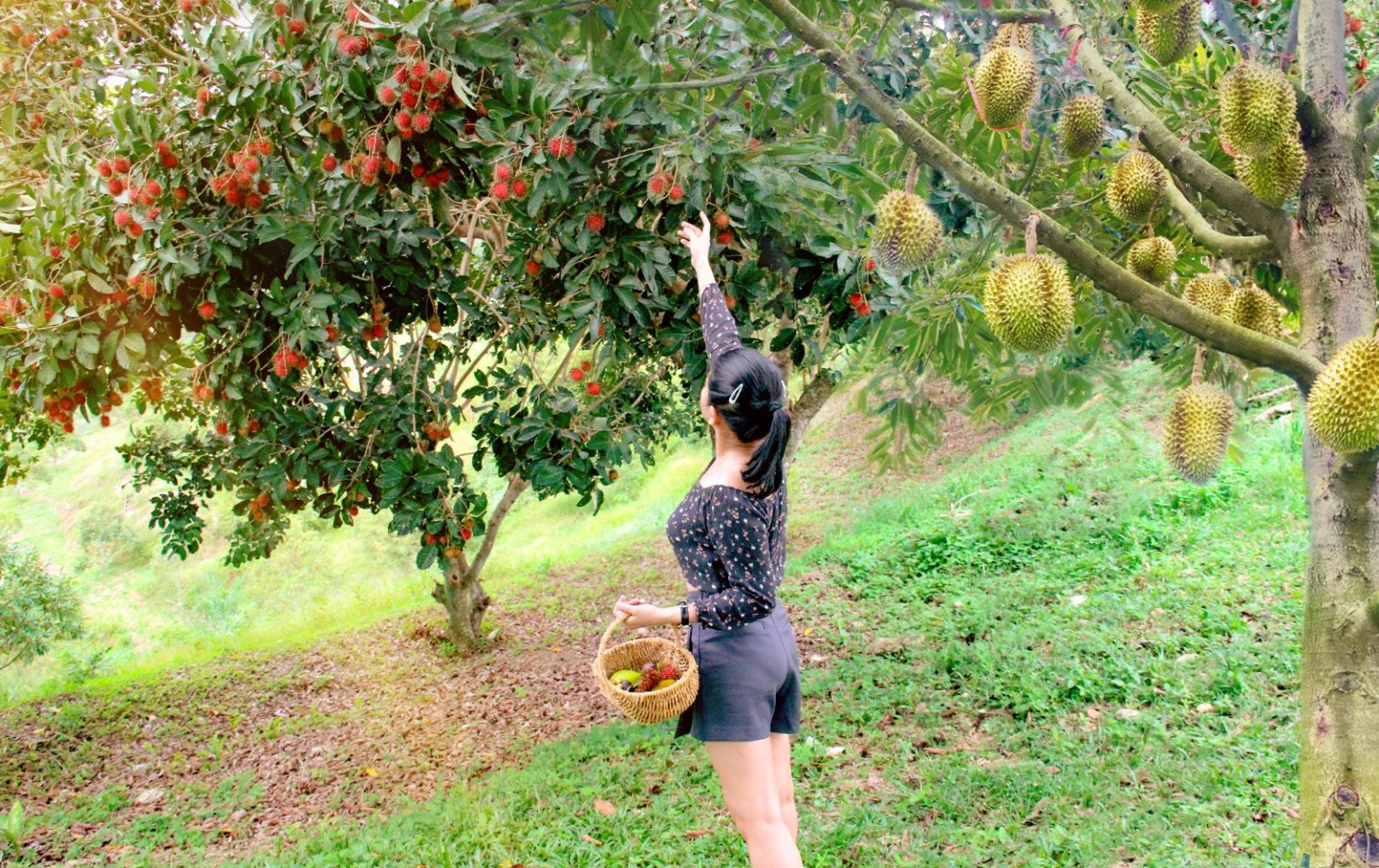 tailor-made event packages